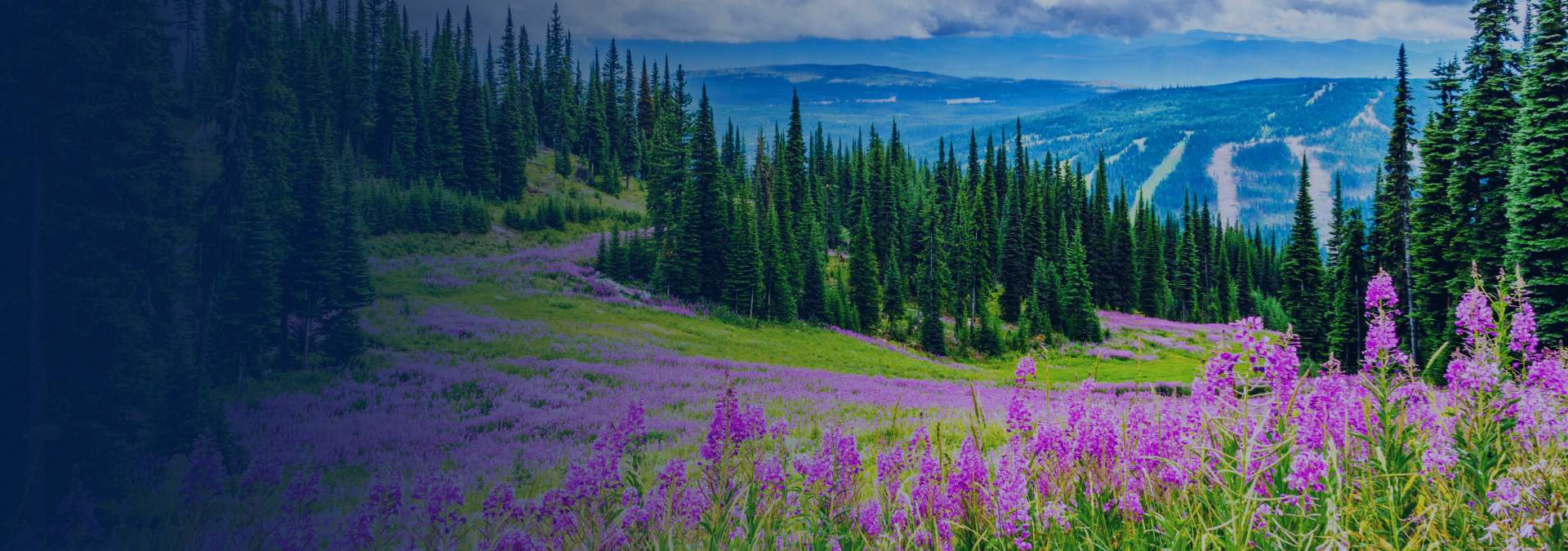 SAF Group | Direct Lending and Private Credit Solutions