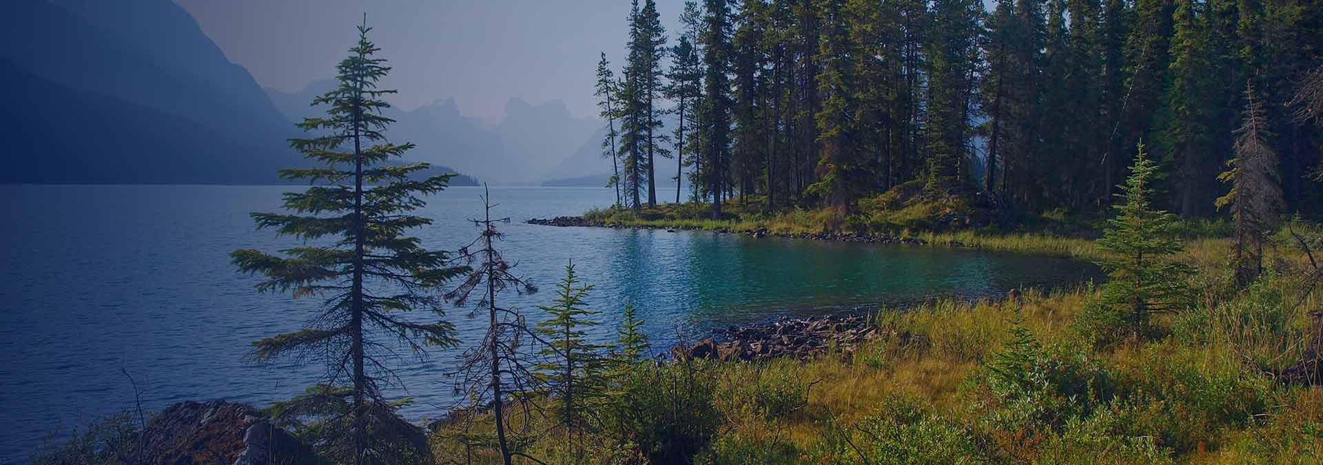 SAF Group | Who We Serve | Institutional Investors