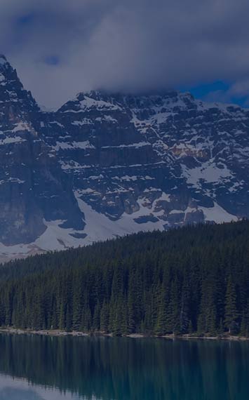 SAF Group | Who We Serve | Institutional Investors