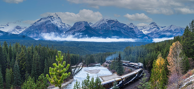 SAF Group | Who We Serve